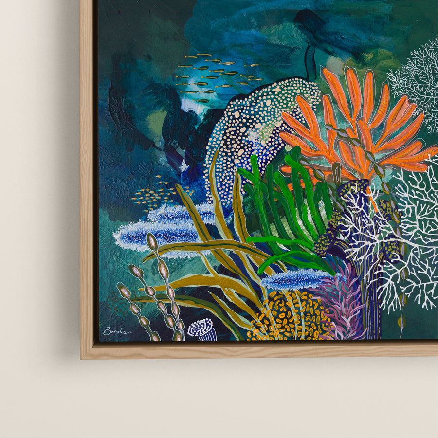 Scuba Steve Limited Edition Print – Steph Brooke Studio